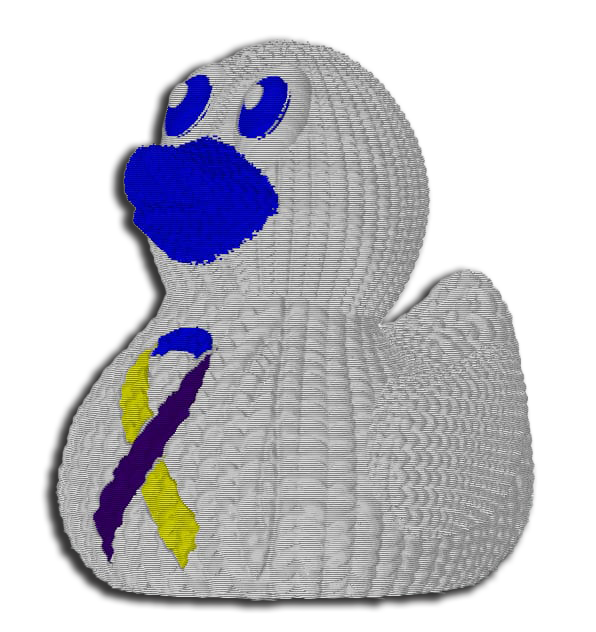 Bladder Cancer Awareness Duck – Cruising Quackers
